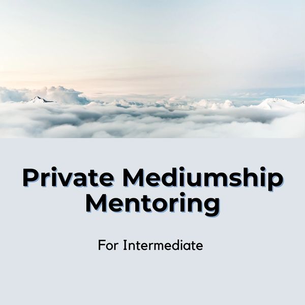 Private 1-1 Mentoring